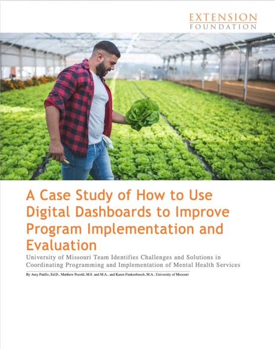 A Case Study of How to Use Digital Dashboards to Improve Program ...